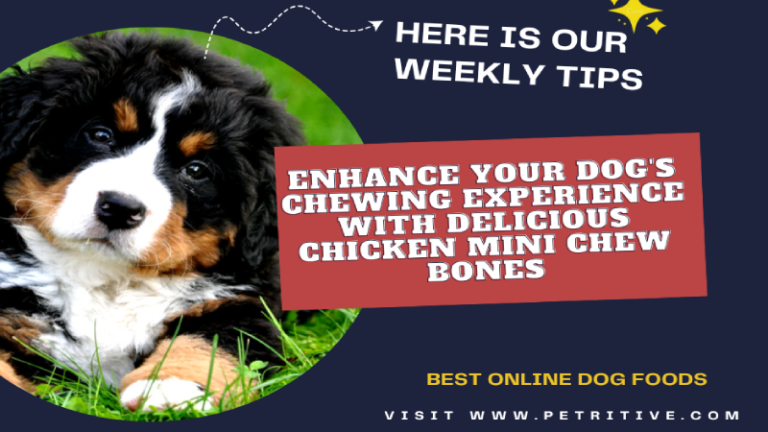 Enhance Your Dog's Chewing Experience with Delicious Chicken Mini Chew ...